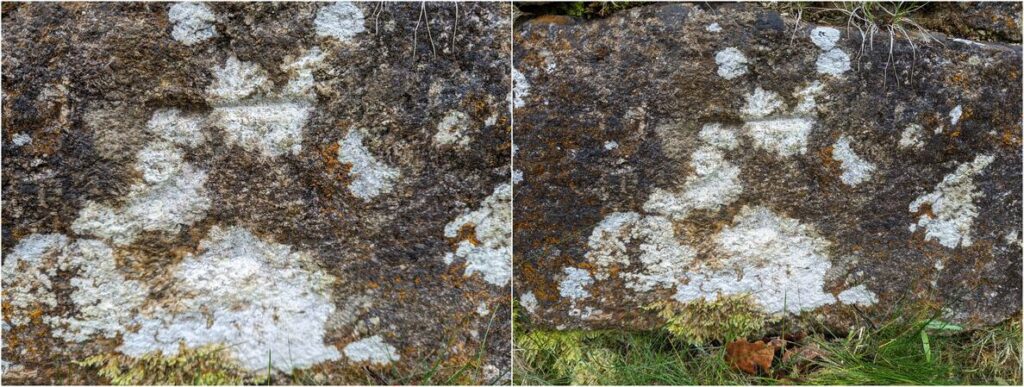 B.M. 0831.6, NF, S side of Hexworthy Bridge | Dartefacts