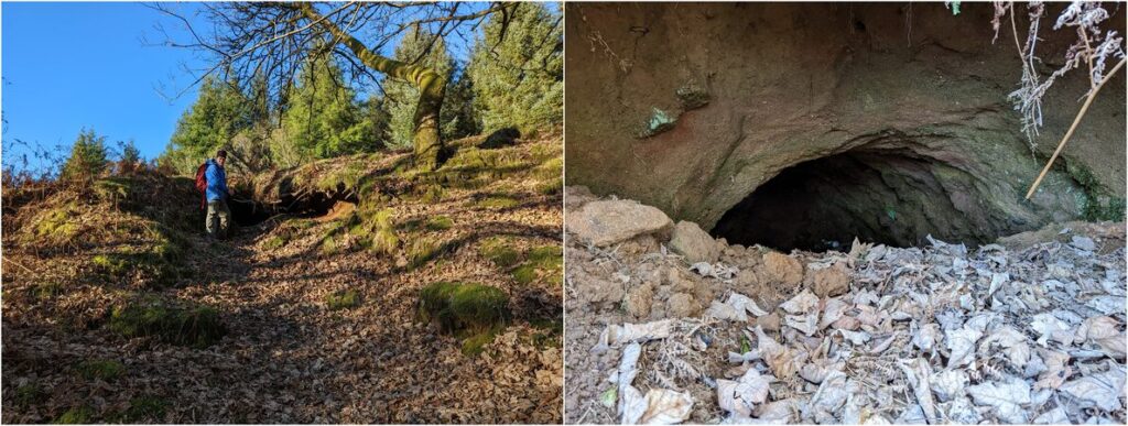 Nosworthy Potato Cave | Dartefacts