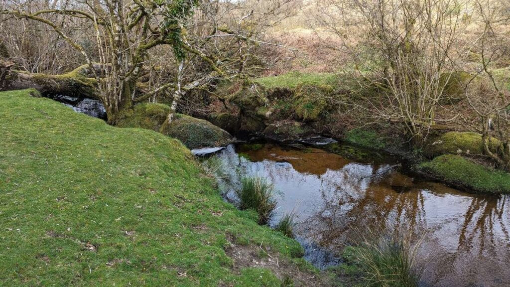 Ilsington/ Manaton – BM Holwell Bridge (Old) No.14 | Dartefacts