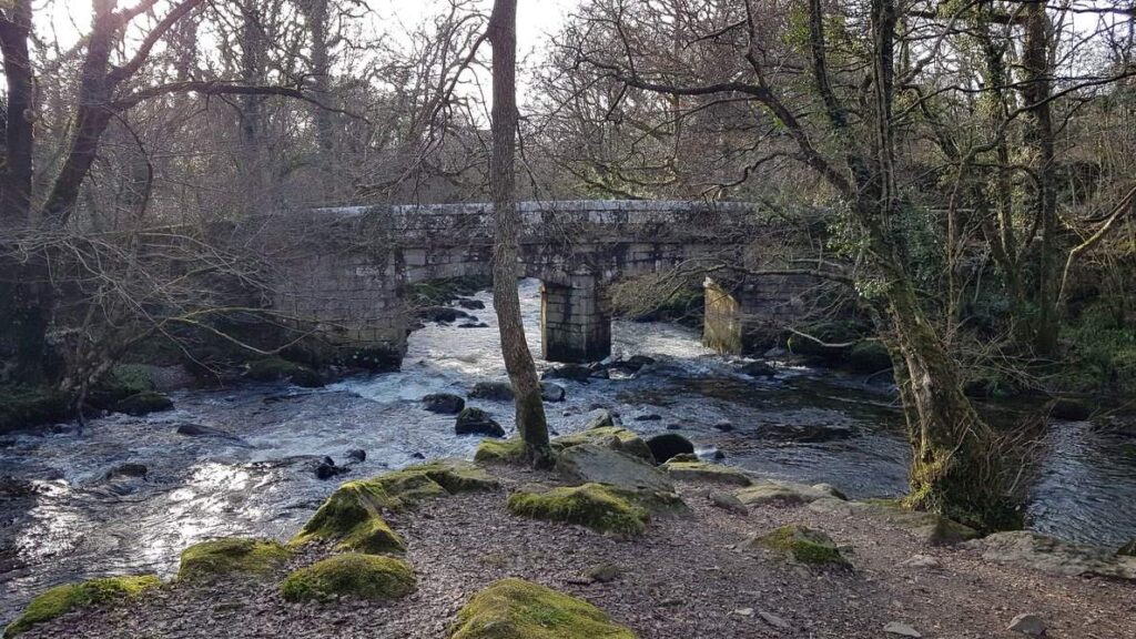 Plym DNP Exit | Dartefacts