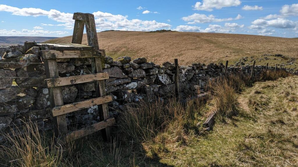 Stile, Ladder, Rowter, No.1 | Dartefacts