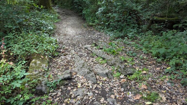 Clapper Bridge below Pathfields Tor | Dartefacts