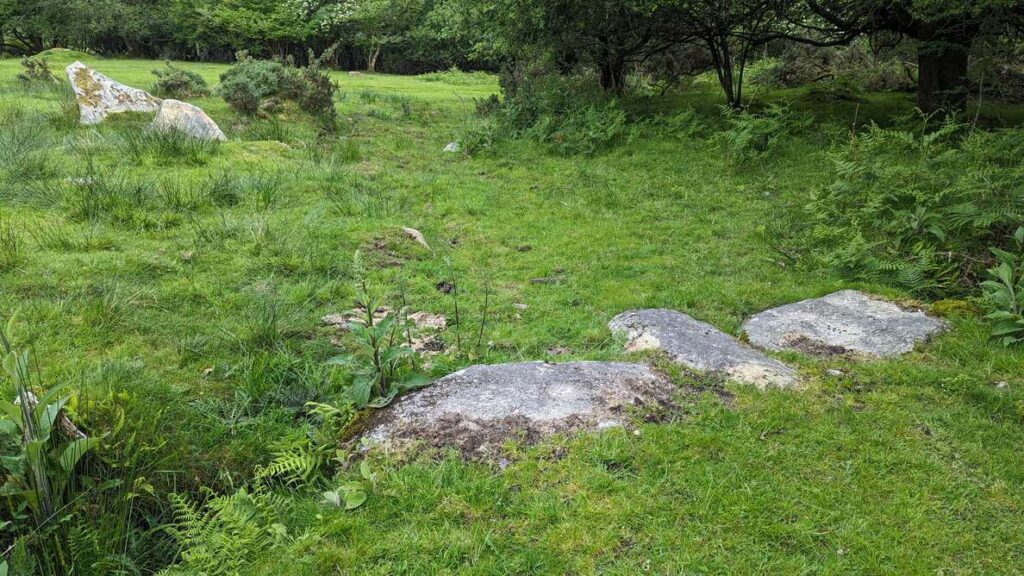 Leat Clapper above Venton | Dartefacts