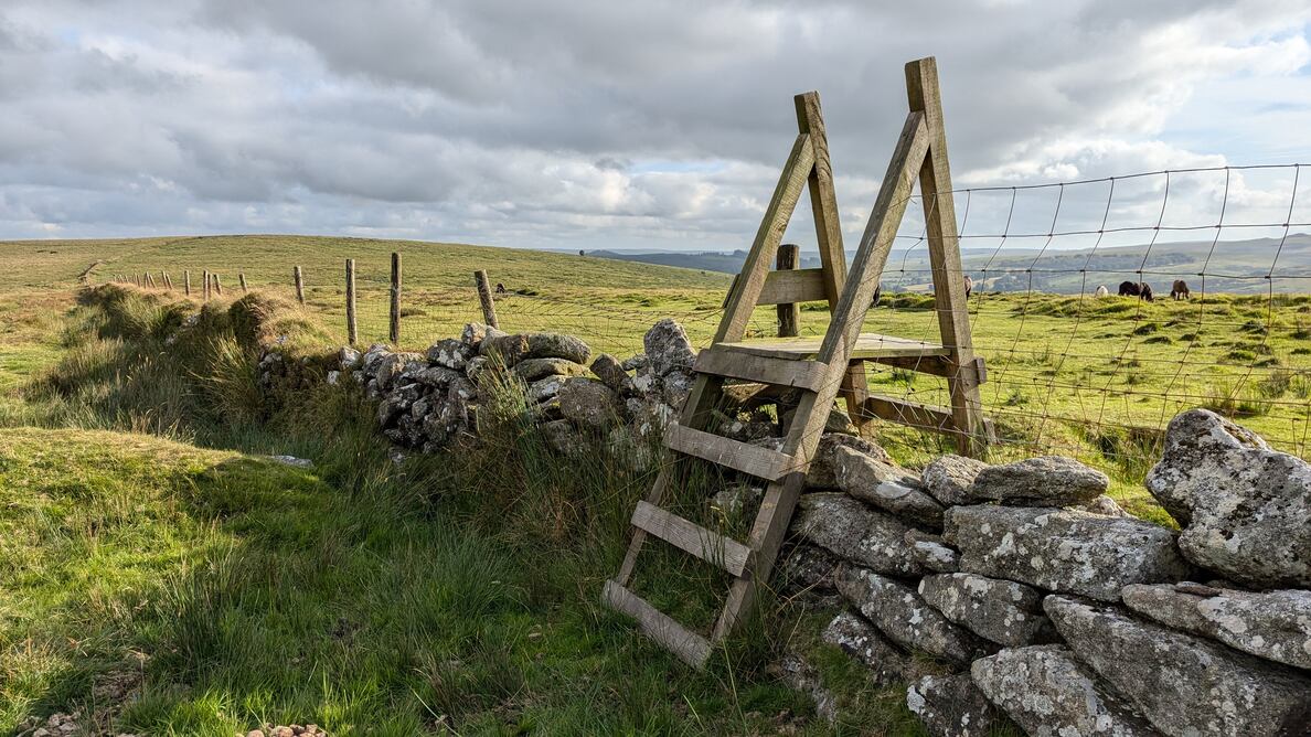 Stile, Ladder, Nr. Merripit Hill | Dartefacts