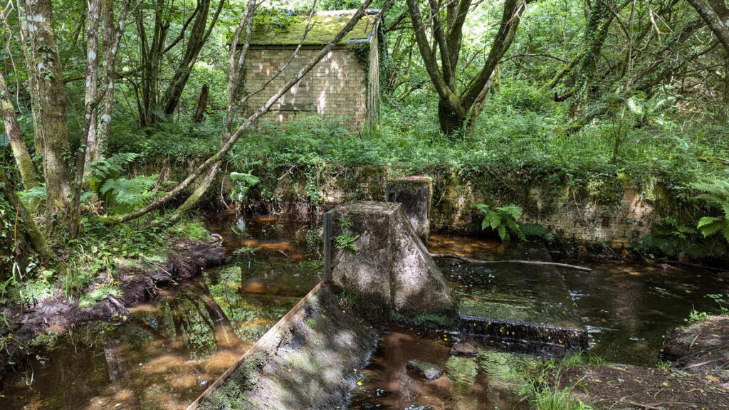 Trenchford Stream Weir | Dartefacts