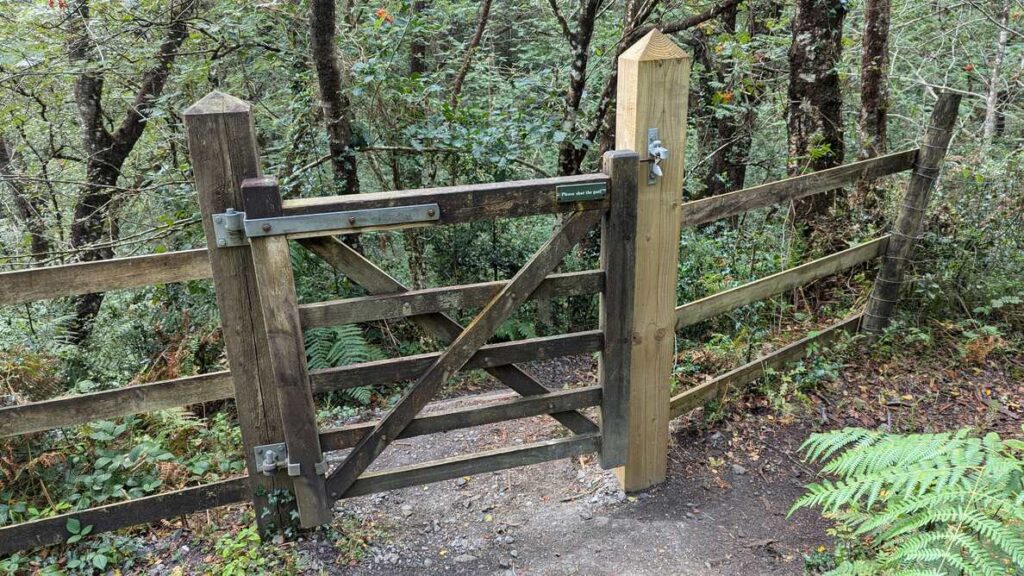 Foot Gate, Yarner Wood, North | Dartefacts